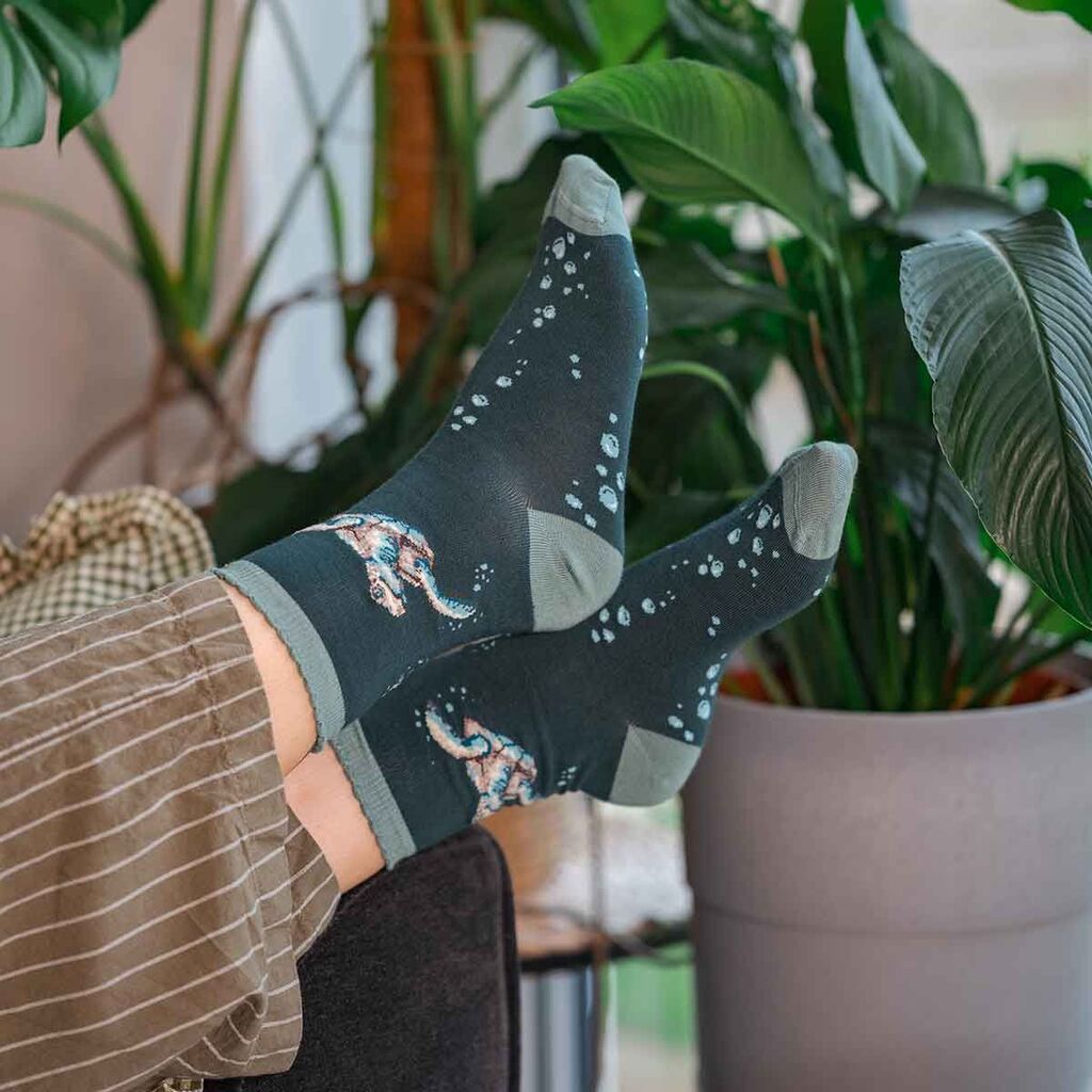 Wrendale sokken - Schildpad - 'Swimming School' Turtle Socks | Meerleuks